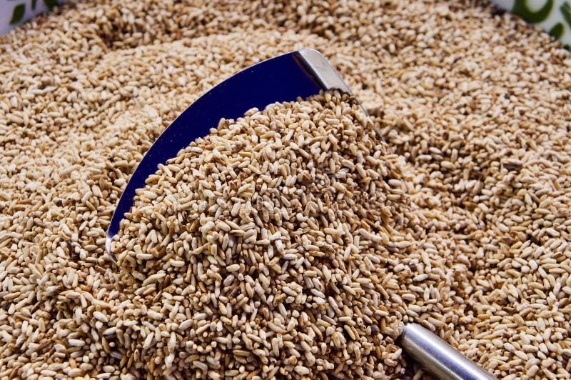 Roasted rice stock image. Image of nature, nourriture - 169739687