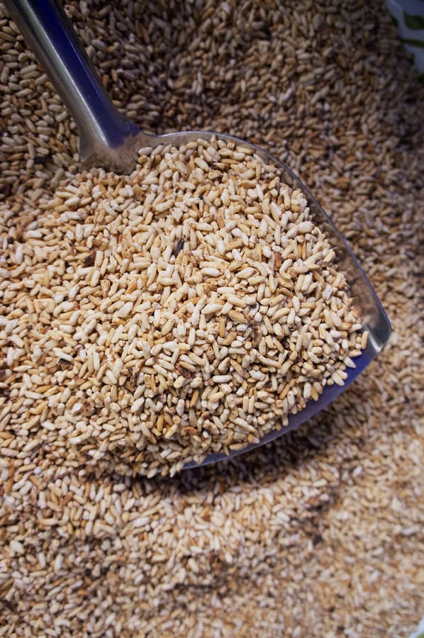 Roasted rice stock photo. Image of thailande, seeds - 169740084