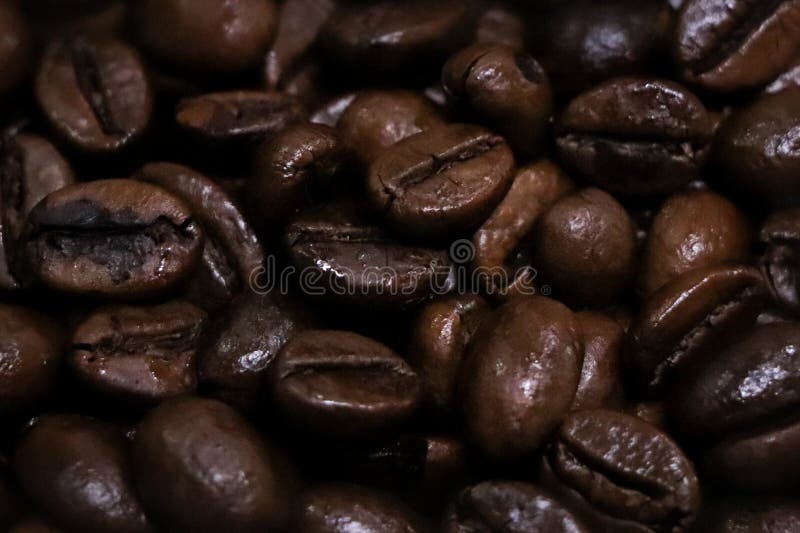 Roasted Robusta Coffee Beans from Indonesia Stock Image - Image of ...
