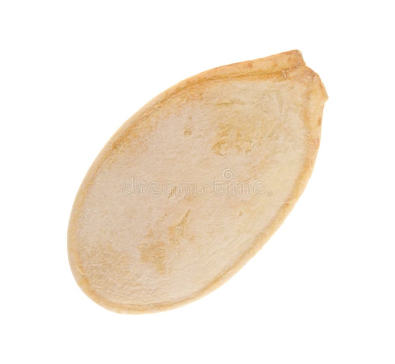 Single Pumpkin Seed