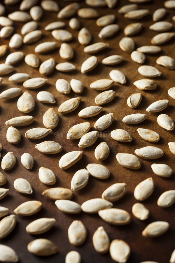 Roasted Salty Pumpkin Seeds Stock Image - Image of season, diet: 45182331