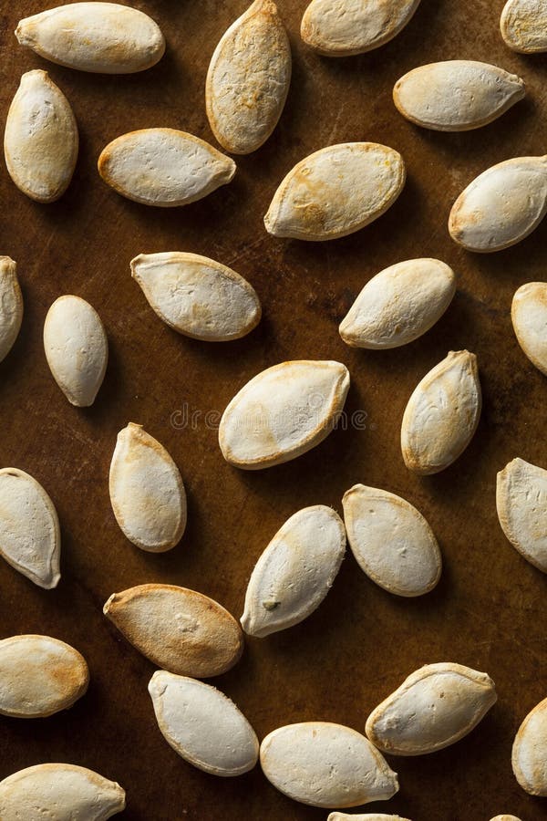 Roasted Salty Pumpkin Seeds Stock Image - Image of hard, pumpkin: 45182341