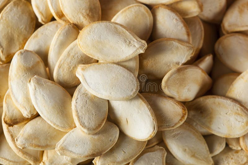 Roasted Salty Pumpkin Seeds Stock Image - Image of salty, dried: 45182387