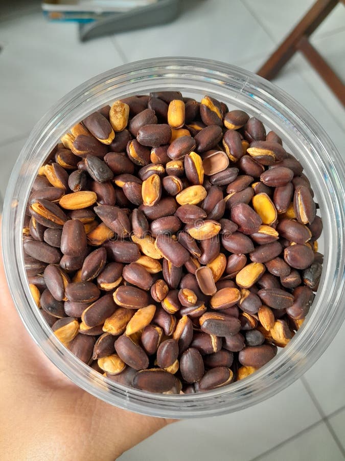 Roasted samanea saman seed stock image. Image of food - 262774935