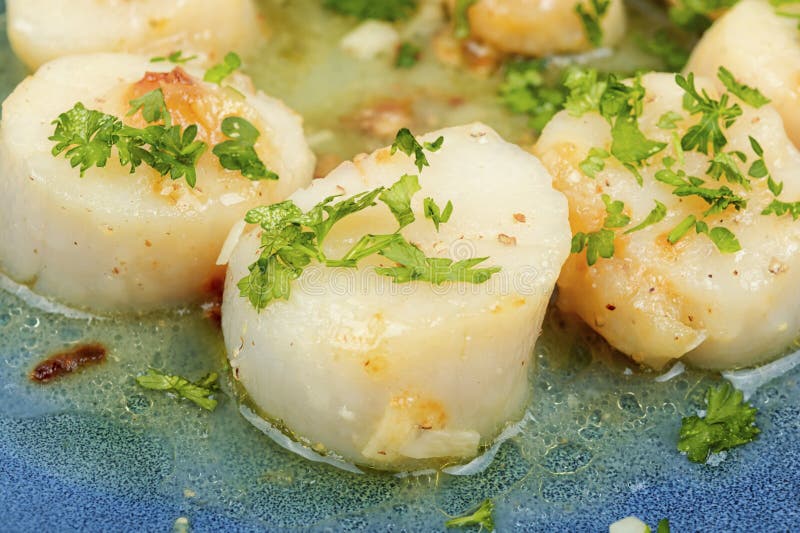 Roasted Scallops on a Plate Stock Image - Image of prepared, gastronomy ...