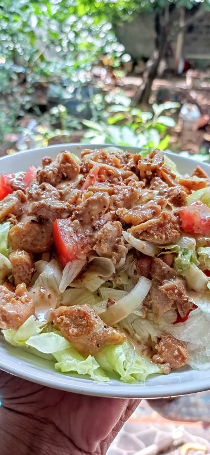 Roasted Sesame Dressing Salad Stock Photo - Image of curry, sesa: 206360544