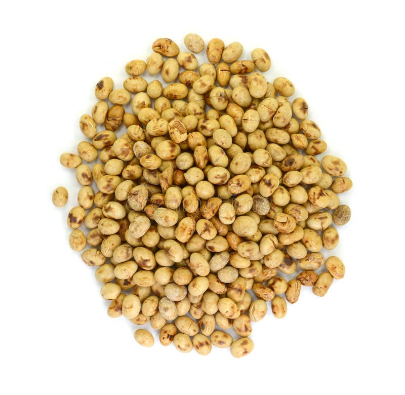 Roasted Soybeans Soy Nuts Isolated Stock Image - Image of protein ...
