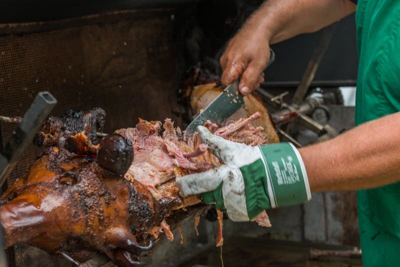 Roasted Suckling Pig is Broken Stock Photo - Image of roast, pork: 74491654