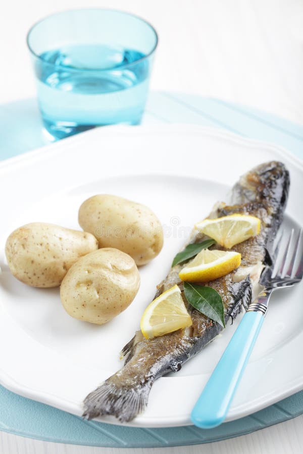Roasted trout stock photo. Image of boiled, leaf, plate - 22118294