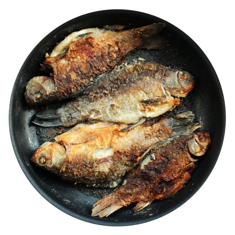 Roasted trout stock image. Image of trout, black, roast - 28443905