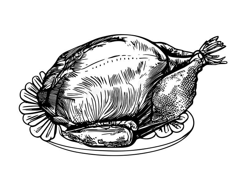 Roasted Turkey, Chicken,with Ingredients Hand Drawn Stock Vector ...