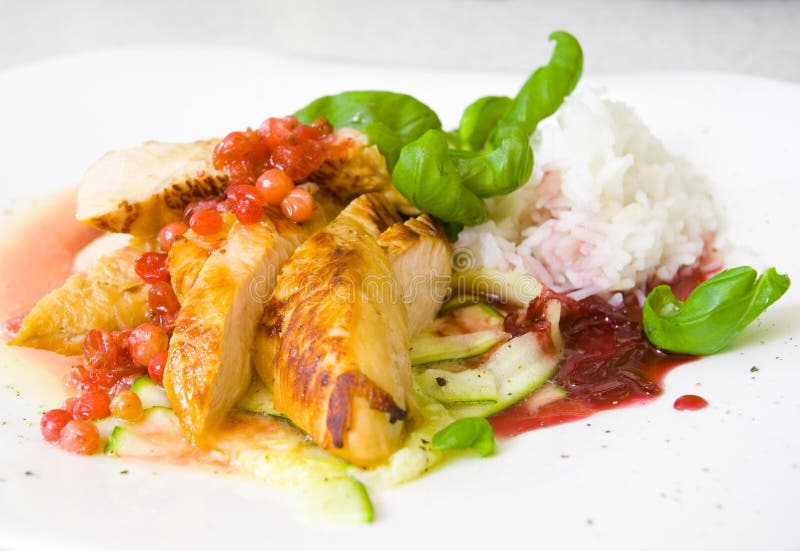 Roasted turkey fillet stock photo. Image of basmati, cranberry - 19309516