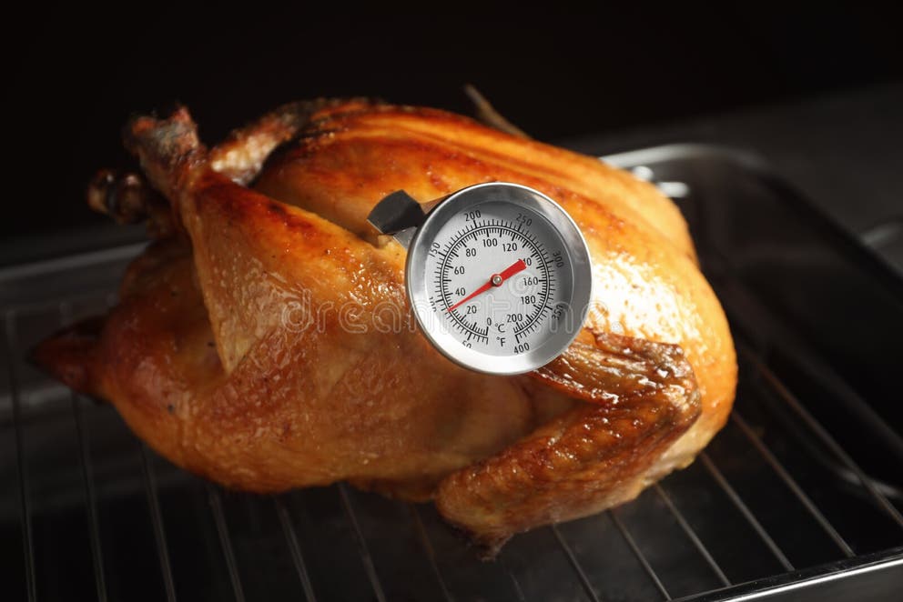 Roasted Turkey with Meat Thermometer Stock Photo - Image of gastronomy ...