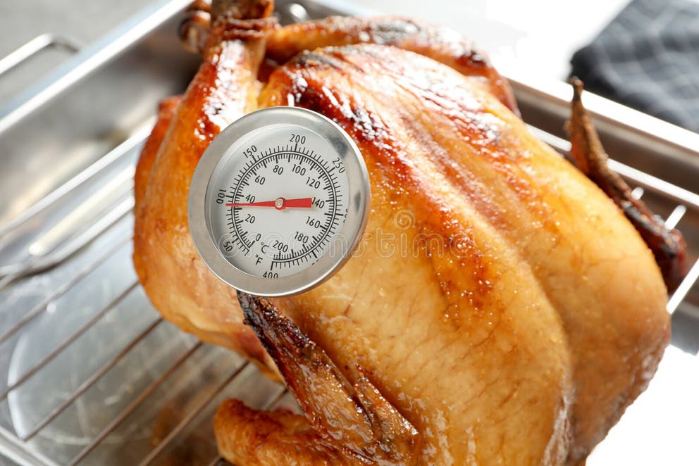 Roasted Turkey with Meat Thermometer Stock Image - Image of measuring ...