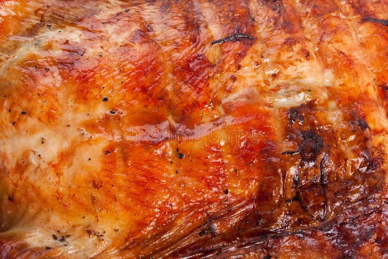 Roasted Turkey Texture stock photo. Image of delicious - 41320490