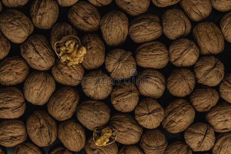 Walnuts with and without Shells. Stock Photo - Image of exporter ...