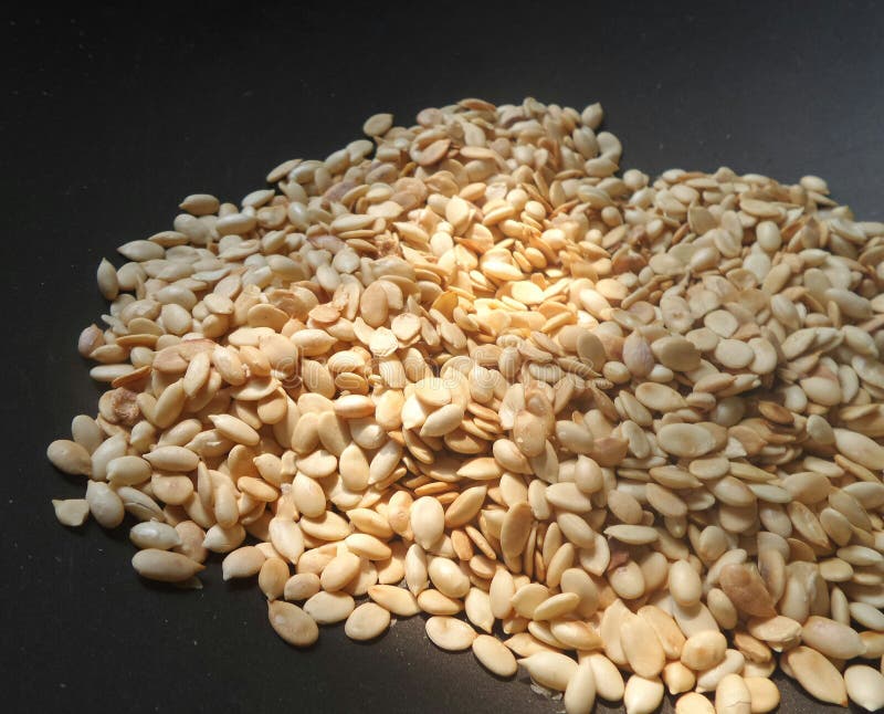 Roasted watermelon seed stock image. Image of roasted - 70186567