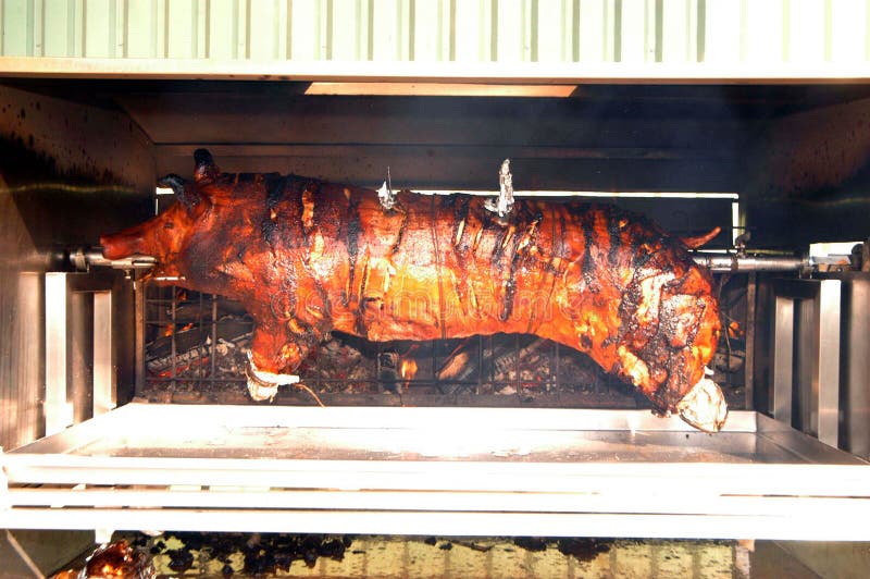 Roasted Whole Suckling Pig at Bbq Stock Image - Image of eating, intake ...