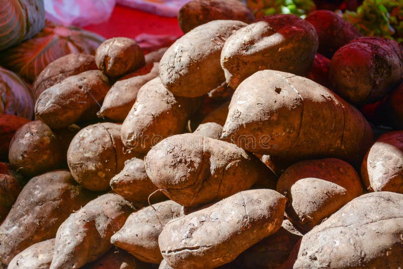 Roasted yam in market stock photo. Image of boiled, vegetarian - 84553164