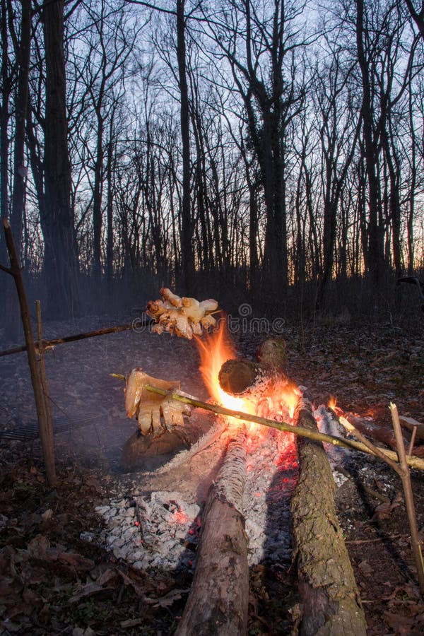 Roasting Bacon Over an Open Campfire in a Forest during Sunset Stock ...
