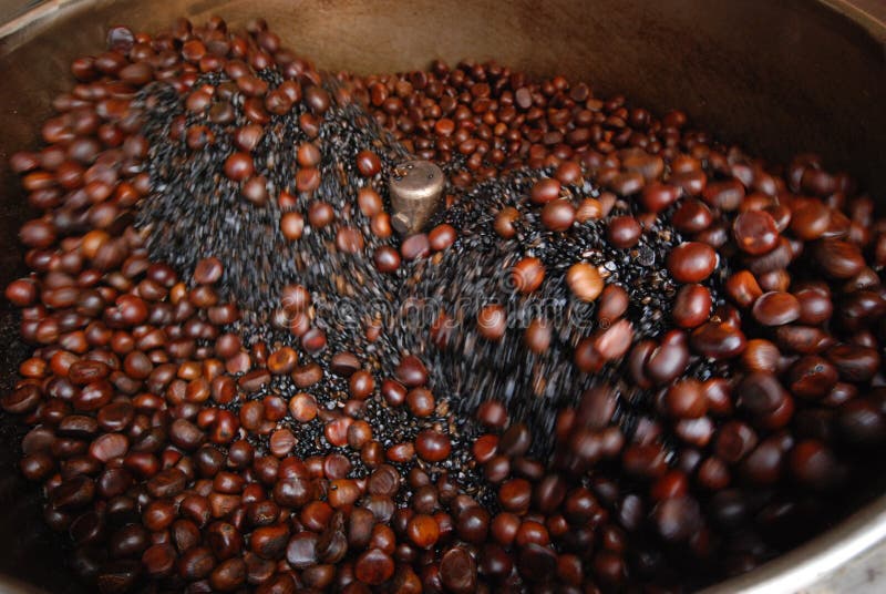 Roasting Chestnut stock image. Image of chestnut, grill - 73072073