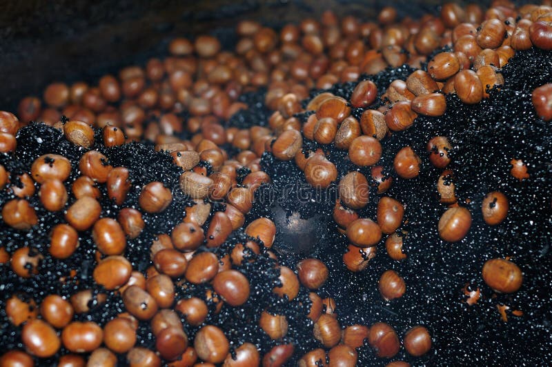 Roasting Chestnuts with Hot Pebbles Stock Image - Image of edible ...