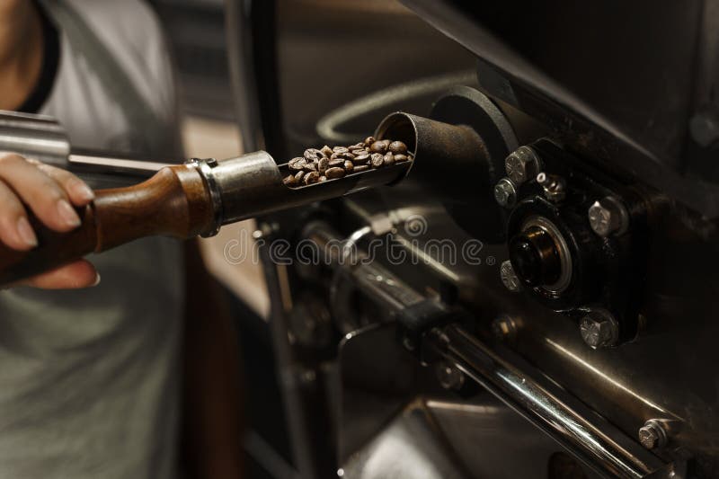 Roasting Coffee Beans Process in Coffee Machine in the Production ...