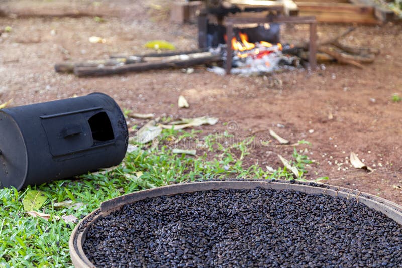 Roaster in farm stock image. Image of farm, animals - 148813193