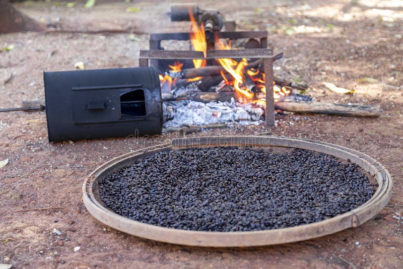 Roaster in farm stock image. Image of farm, animals - 148813193