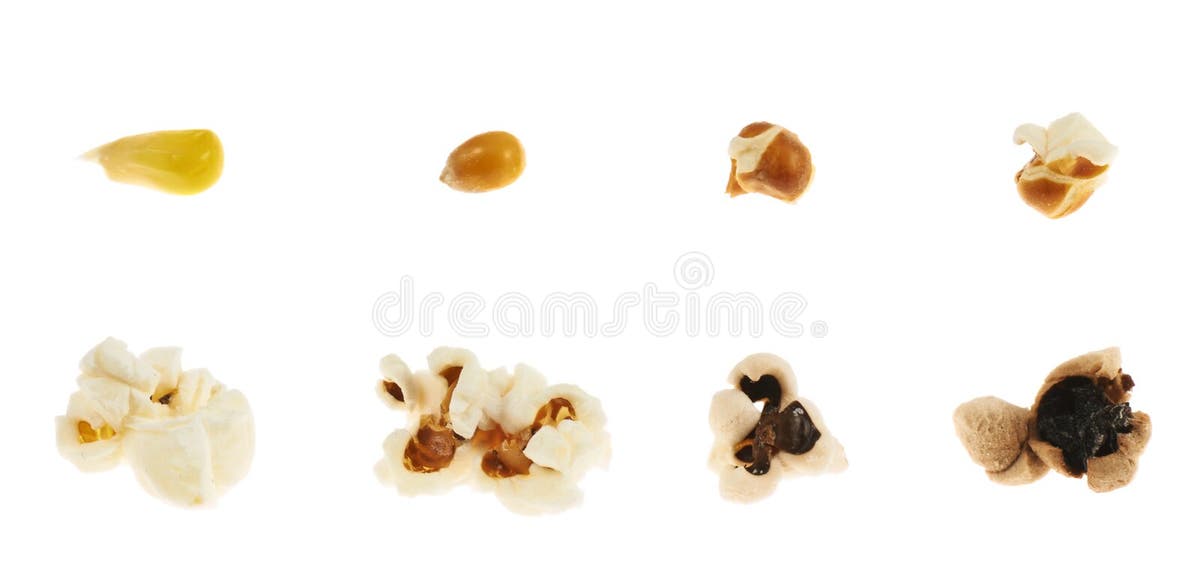 48,900 Corn Kernel Stock Photos - Free & Royalty-Free Stock Photos from ...