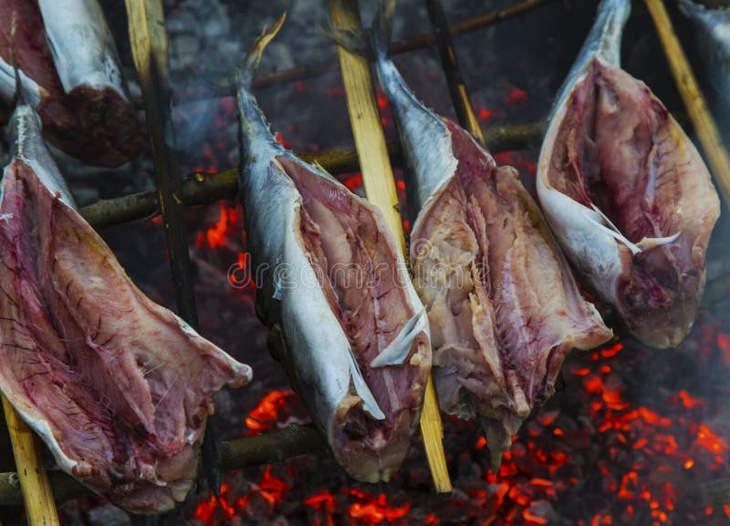 Roasting of Fish in a Foil on a Fire Stock Image - Image of camp ...
