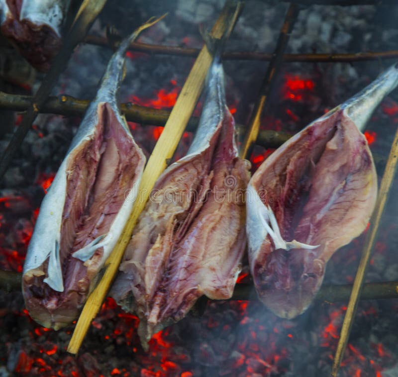 Roasting fish on fire stock photo. Image of meat, dinner - 128769056