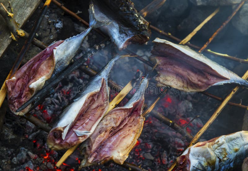 Roasting fish on fire stock image. Image of cooking - 128769085