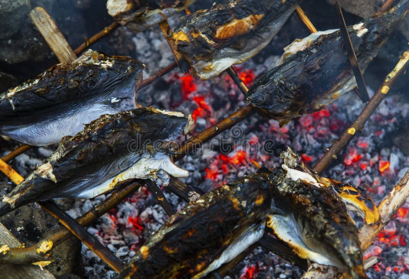 Roasting fish on fire stock photo. Image of grilling - 128769102