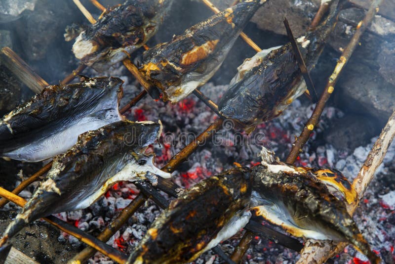 Roasting fish on fire stock image. Image of dinner, cuisine - 128769103
