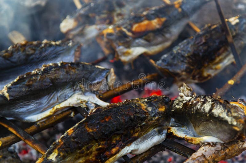 Roasting fish on fire stock photo. Image of grilling - 128769186