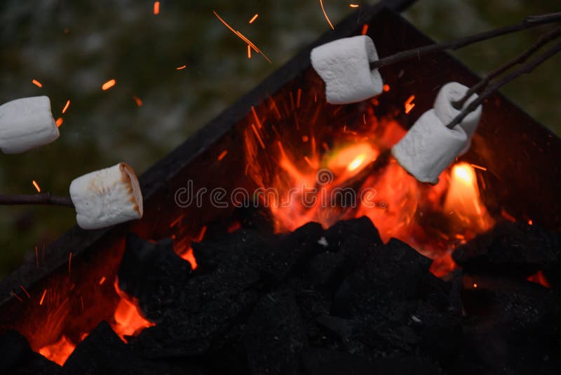 Roasting Marshmallow on a Fire at the Evening. Stock Photo - Image of ...