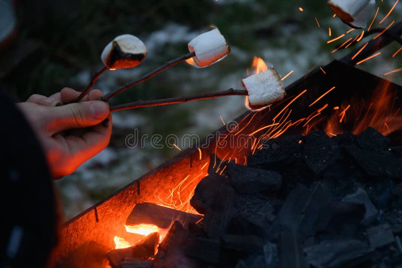Roasting Marshmallow on a Fire at the Evening. Stock Photo - Image of ...