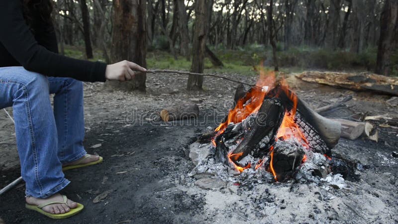 Roasting Marshmallows Over Fire Stock Footage - Video of high, camp ...