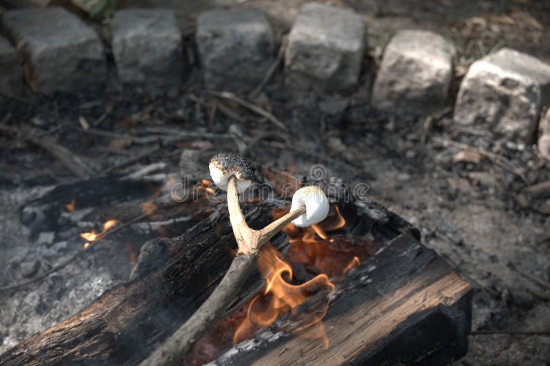 Roasting Marshmallows Over an Open Fire Stock Image - Image of sticky ...