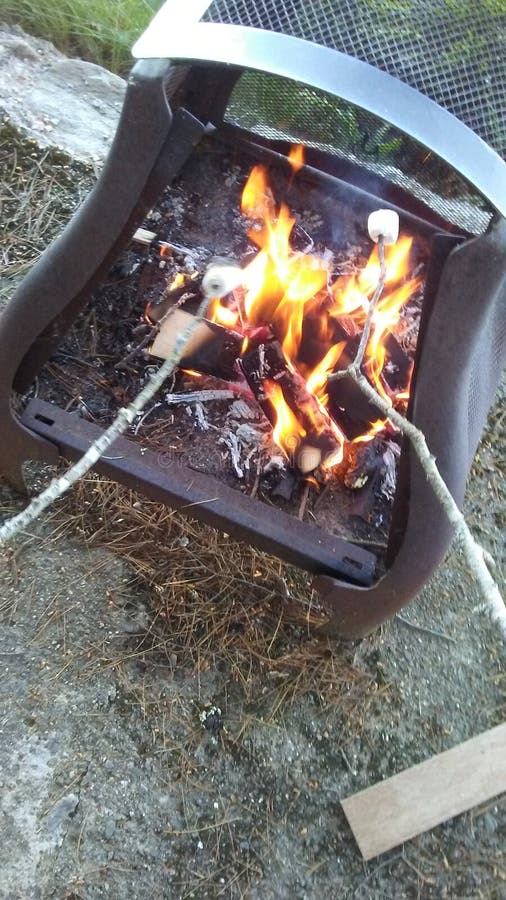 Roasting Marshmallows stock photo. Image of fire, summer - 97528228
