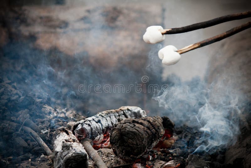 Roasting Marshmallows on a Stick Over a Campfire Stock Photo - Image of ...