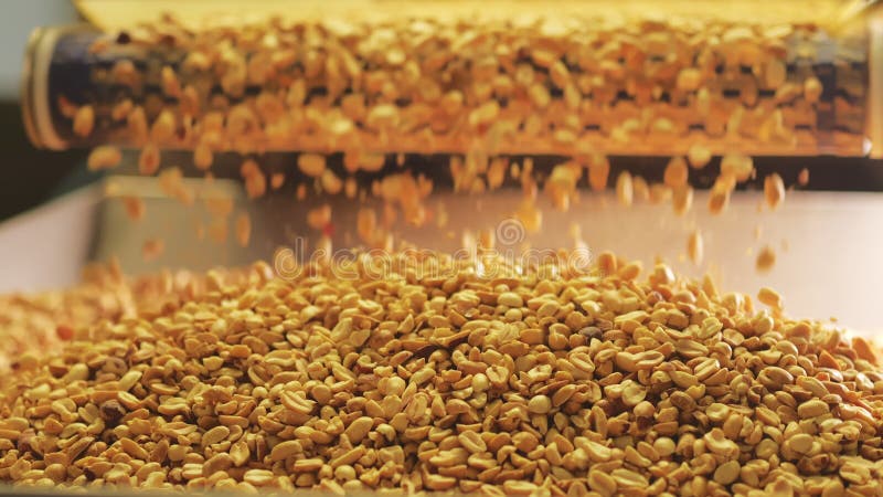 Roasting Peanuts at Factory. Stock Video - Video of confectionary ...