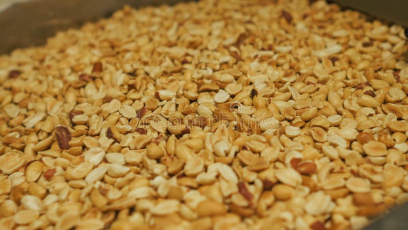 Roasting Peanuts at Factory. Stock Footage - Video of manufacturing ...