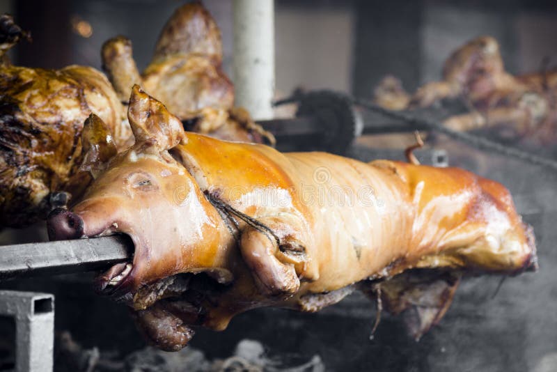 Roasting pig on spit stock photo. Image of meat, gastronomy - 92965258