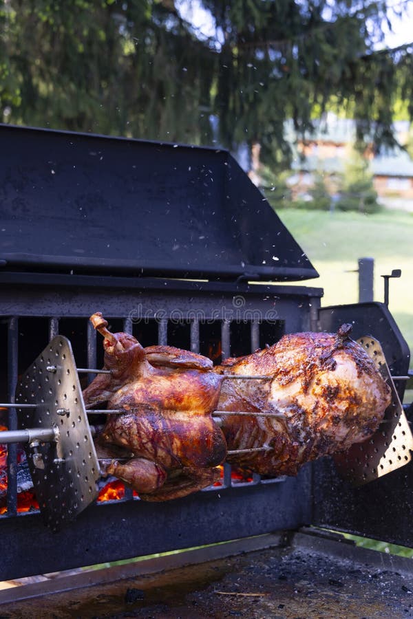 Roasting Pork and Turkey on Spit Stock Photo - Image of outdoor ...
