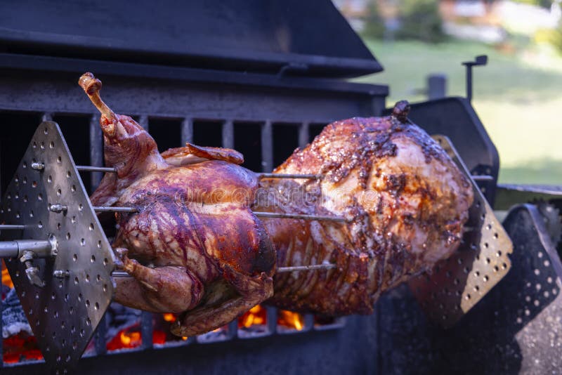 Roasting Pork and Turkey on Spit Stock Photo - Image of picnic, grill ...
