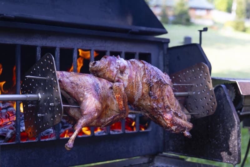 Roasting Pork and Turkey on Spit Stock Image - Image of closeup, picnic ...