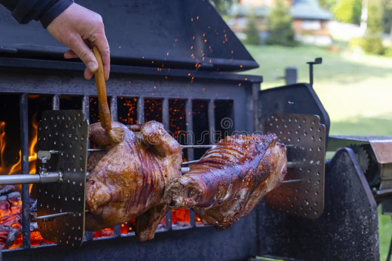 Roasting Pork and Turkey on Spit Stock Image - Image of chicken ...