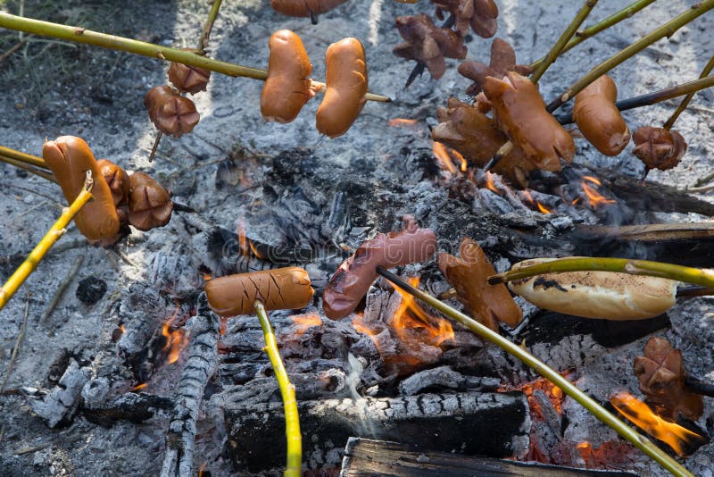Roasting Sausages Over Fire Stock Image - Image of heat, food: 70797789